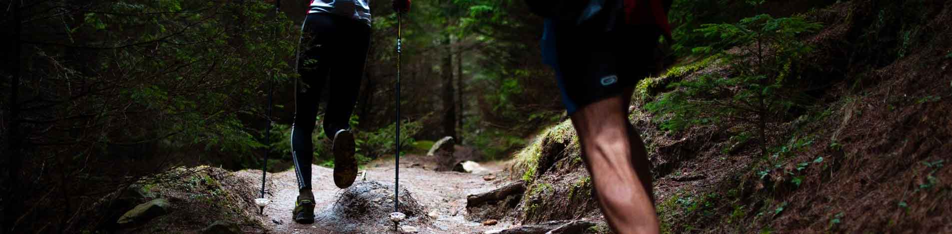 Trail du Luberon : Infos, parcours et tarifs du Trail du Grand Luberon